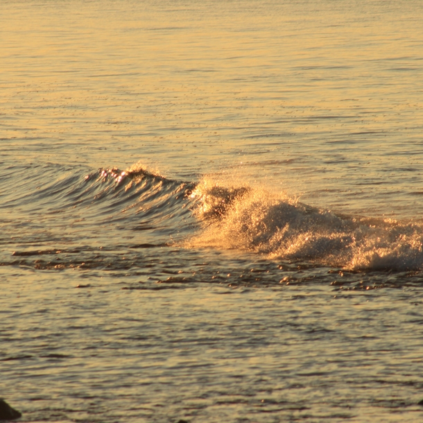 A simple wave x - Photorator