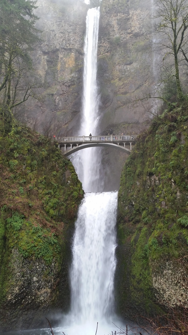 Drove to Portland last weekend specifically to go see Multnomah Falls ...