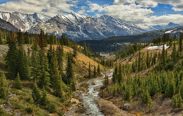 Spring In The Rockies Looking south from the Icefields Parkway in ...