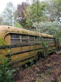 Forgotten school bus - Photorator
