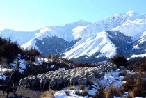 Glenthorne Station Southern Alps New Zealand - Photorator
